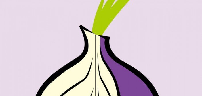 Tor Project patches critical XSS bug in its blog after researcher ...