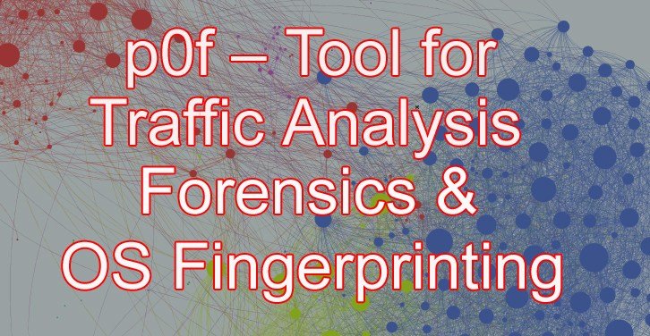 Network Analyzer: P0f. A tool that details the structure of TCP/IP packets.