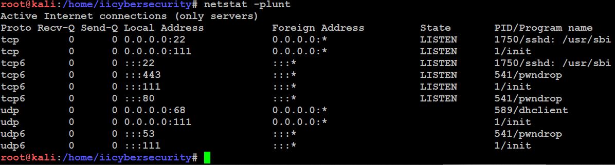 How To Check If Your Linux Server is Hacked or Not